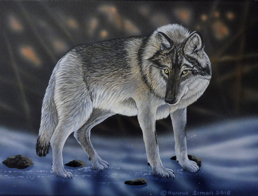 Ronnie Simon | Bearclaw Gallery