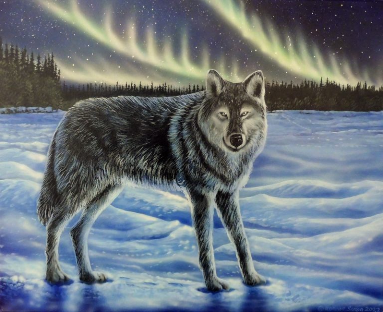 Ronnie Simon | Bearclaw Gallery
