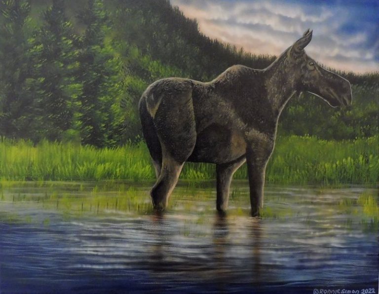 Ronnie Simon | Bearclaw Gallery