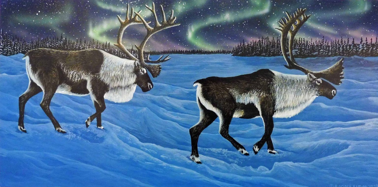 Ronnie Simon | Bearclaw Gallery