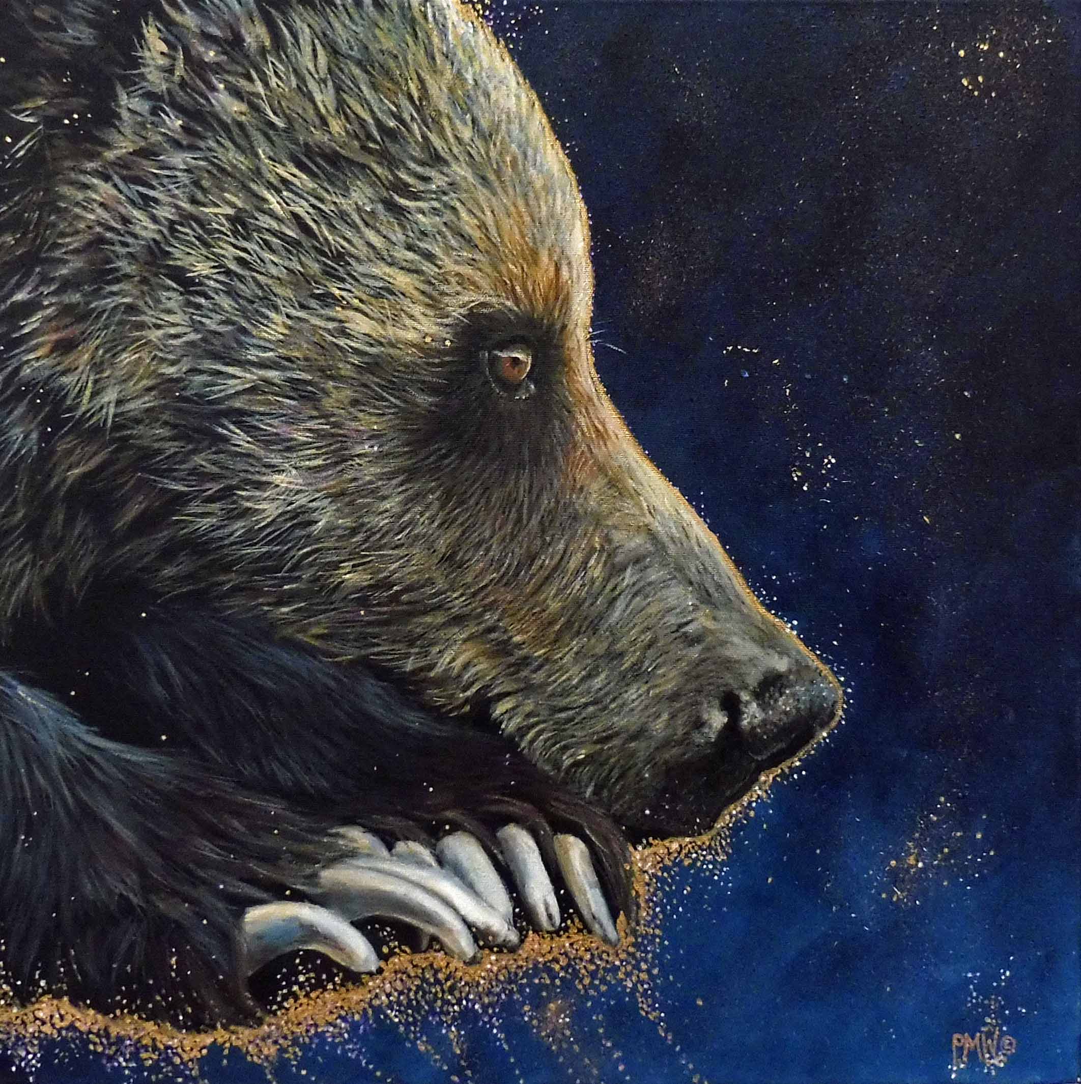 pmw-shooting star-sm | Bearclaw Gallery